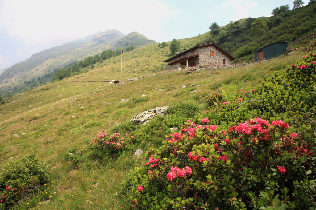 Sul Monte Legnone dal Rifugio Griera ~ Lago di Como e Valsassina